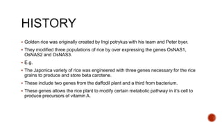 GM foods or Genetically modified foods | PPTX
