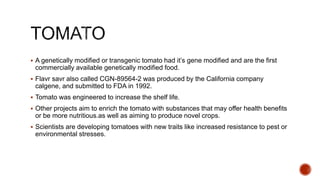 GM foods or Genetically modified foods | PPTX