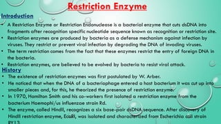 Recombinant DNA technology:- Restriction enzymes | PDF