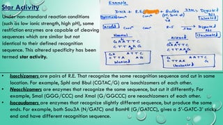 Recombinant DNA technology:- Restriction enzymes | PDF