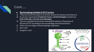 Cloning_vector_vanshika_varshney | PPT