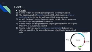 Cloning_vector_vanshika_varshney | PPT