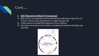 Cloning_vector_vanshika_varshney | PPT