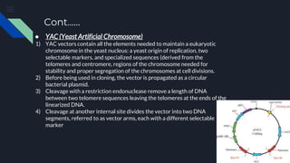 Cloning_vector_vanshika_varshney | PPT