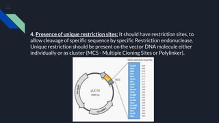 Cloning_vector_vanshika_varshney | PPT