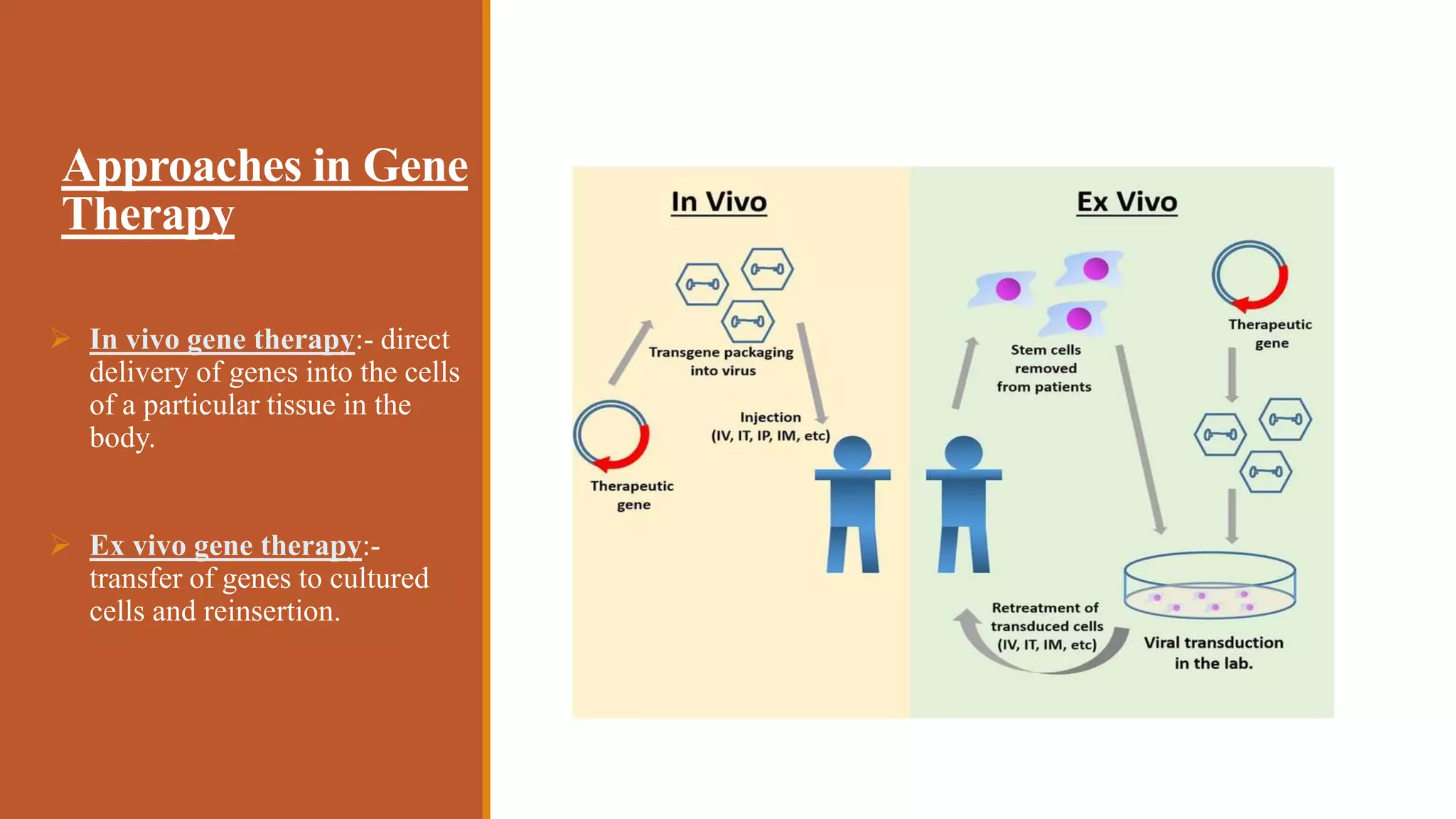 Application of RDT in gene therapy | PPT