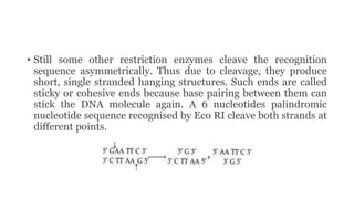 RDT Restriction Enzymes.pptx