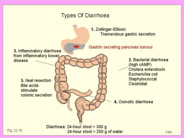 22.antiemetic, laxative, antidiarrhoeal