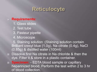 Reticulocyte | PPTX