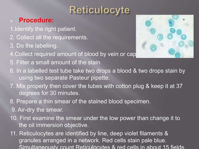 Reticulocyte | PPTX | Blood Disorders | Diseases and Conditions