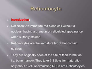 Reticulocyte