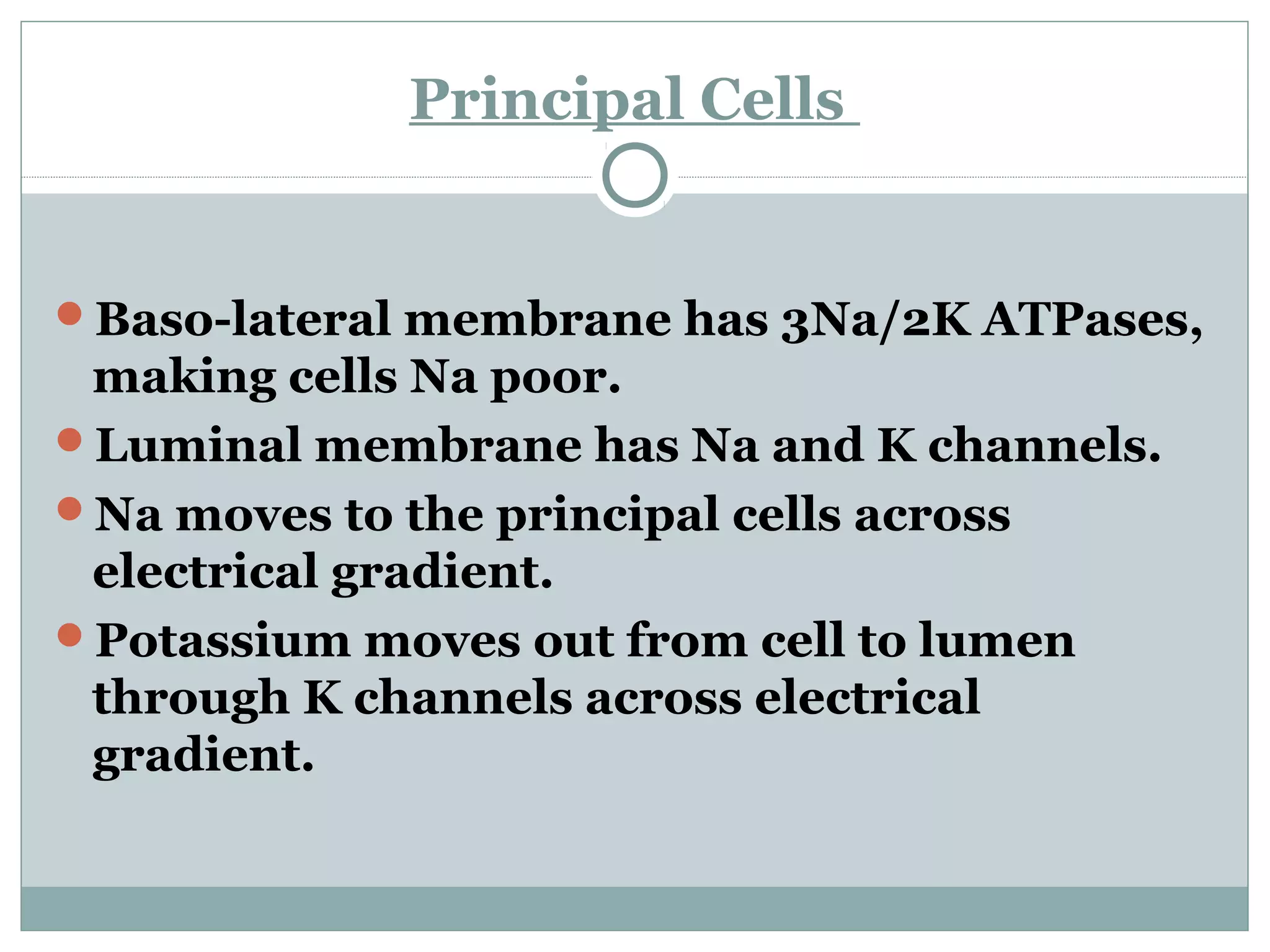 Re absorption and secretion by nephron | PPT