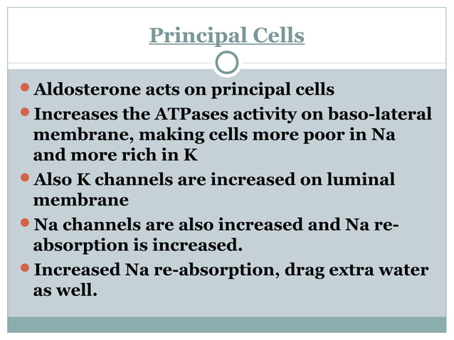 Re absorption and secretion by nephron | PPT | Endocrine and Metabolic ...