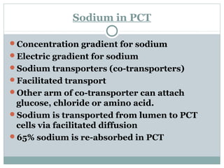 Re absorption and secretion by nephron | PPT