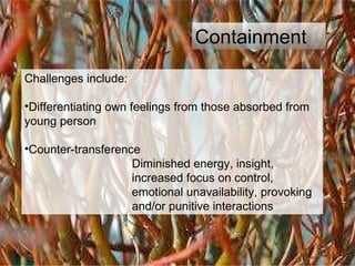 Re embracing containment and holding environments a fresh take on a ...