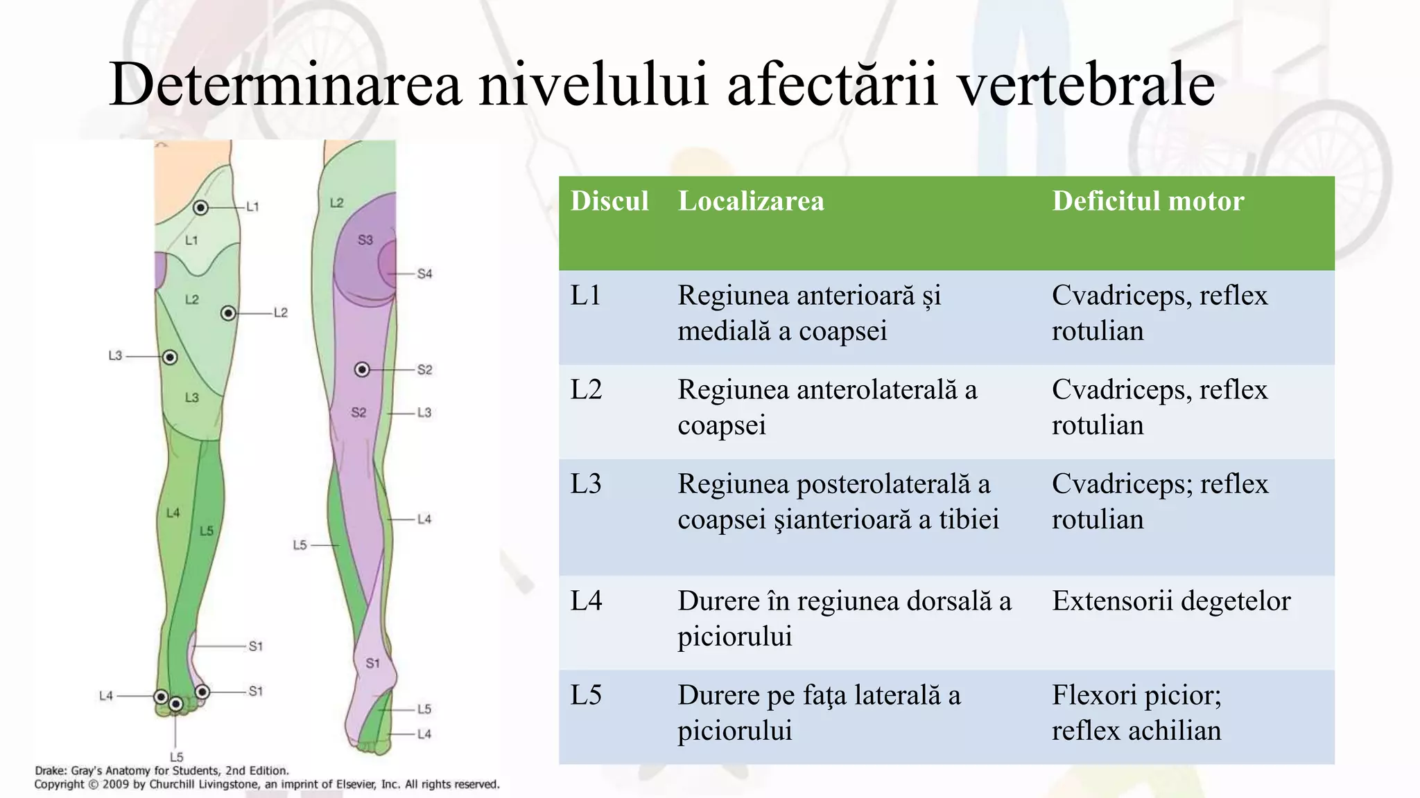 Reabilitarea în hernie de disc lombar.pptx