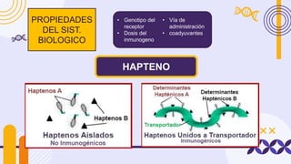 reaccion antigeno anticuerpo -inmunologia | PPTX