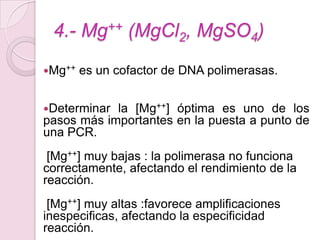 PCR | PPTX