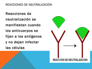 Reacción De Precipitación De Antígeno Y Anticuerpo