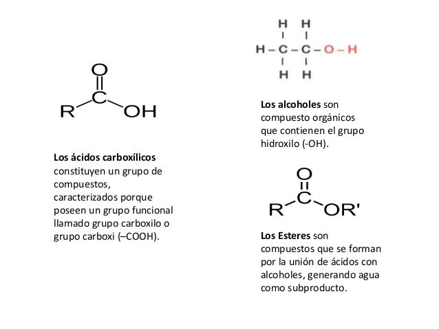 Reacciones De Esterificacion
