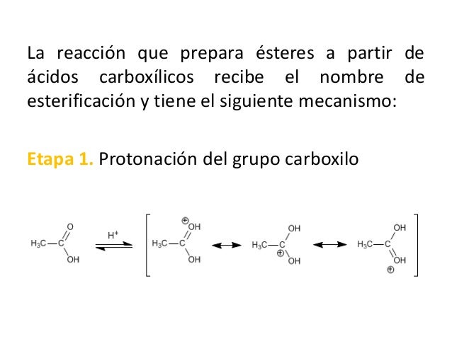 Reacciones De Esterificacion