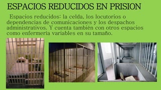 Reacciones en personas al salir de prision yunuen | PPTX
