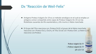 Reacciones febriles | PPTX