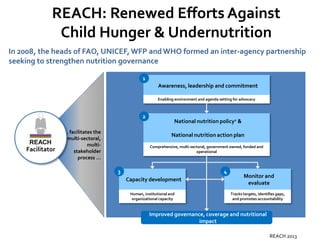 Strengthening Nutrition Governance: Lessons Learned from REACH | PPT