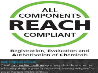 Reach certificate | PPTX