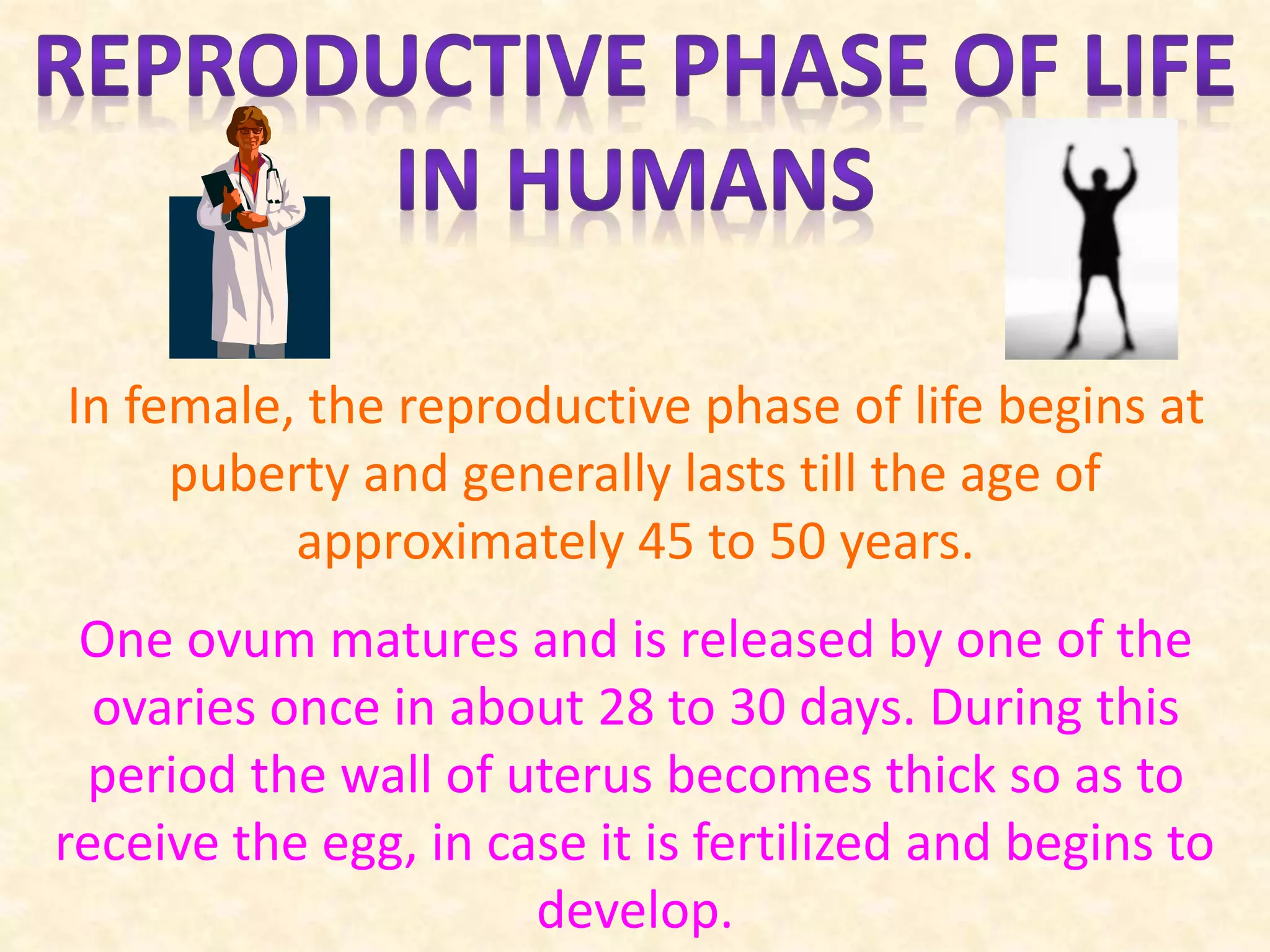 Reaching the age of adolescence | PPSX