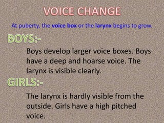 Reaching the age of adolescence | PPSX