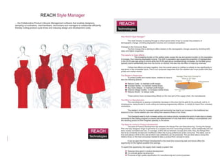 REACH Style Manager | PPT