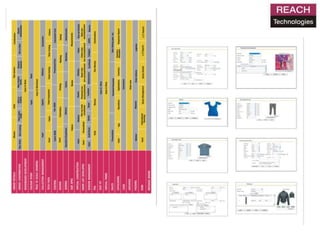 REACH Style Manager | PPT