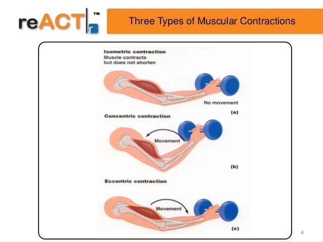 Re Act Eccentric Training Course Linked In