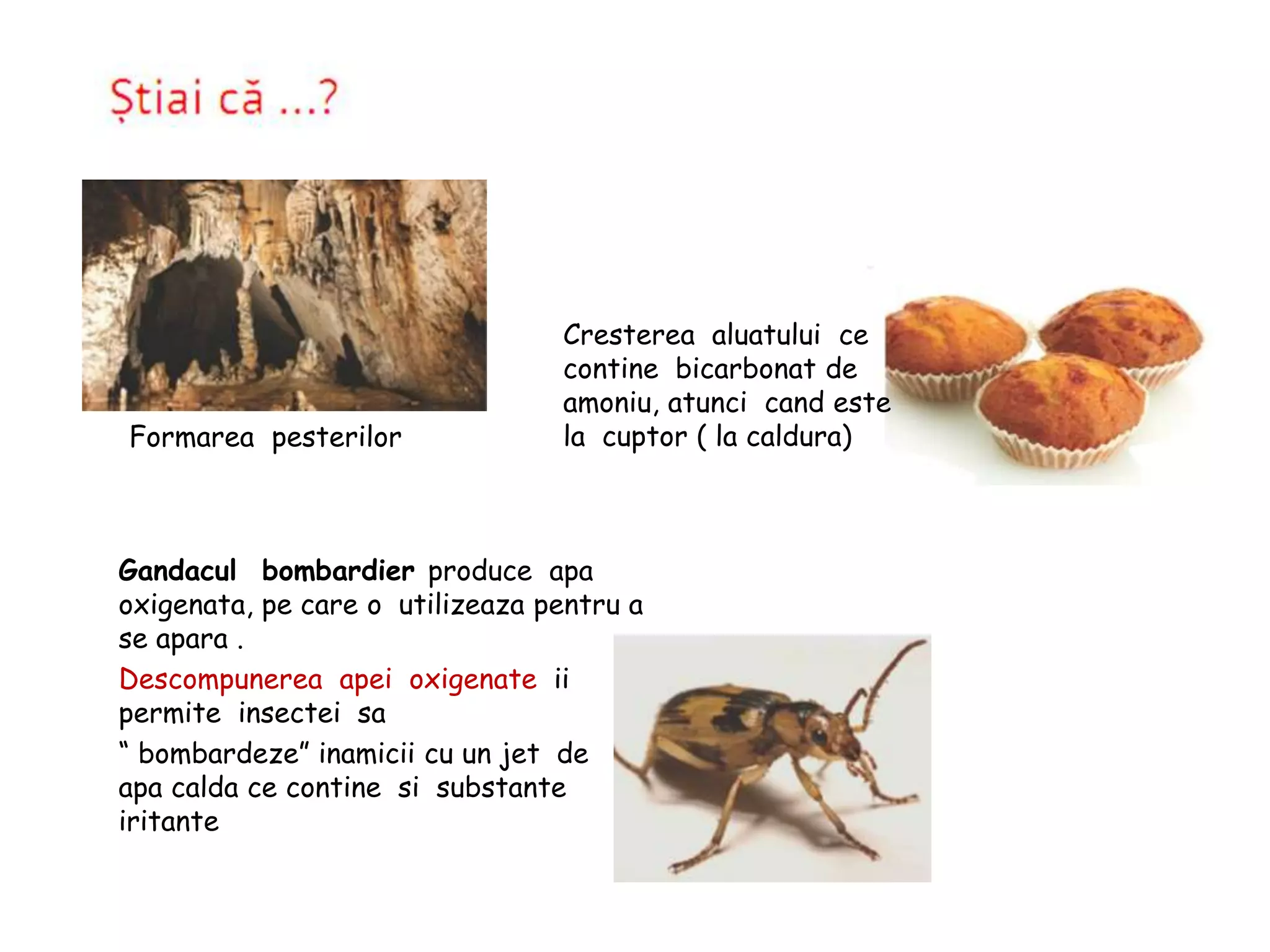 REACTIA DE DESCOMPUNERE.pptx