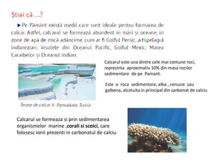 REACTIA DE DESCOMPUNERE.pptx