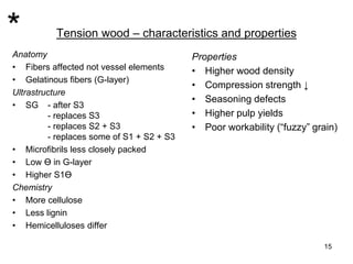 Reaction wood | PPT