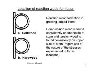 Reaction wood | PPT