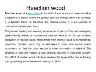 Reaction wood | PPT