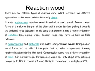 Reaction wood | PPT