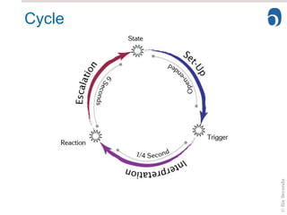 Reaction Cycle.ppt
