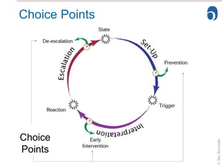 Reaction Cycle.ppt