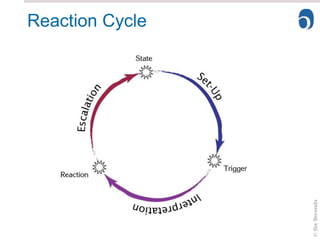 Reaction Cycle.ppt