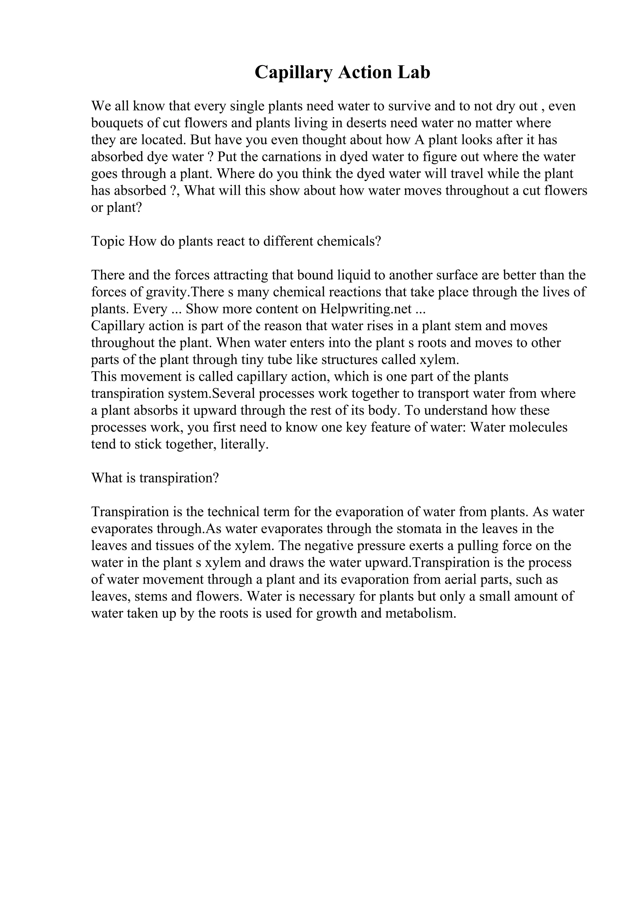 Reaction Essay Examples | PDF