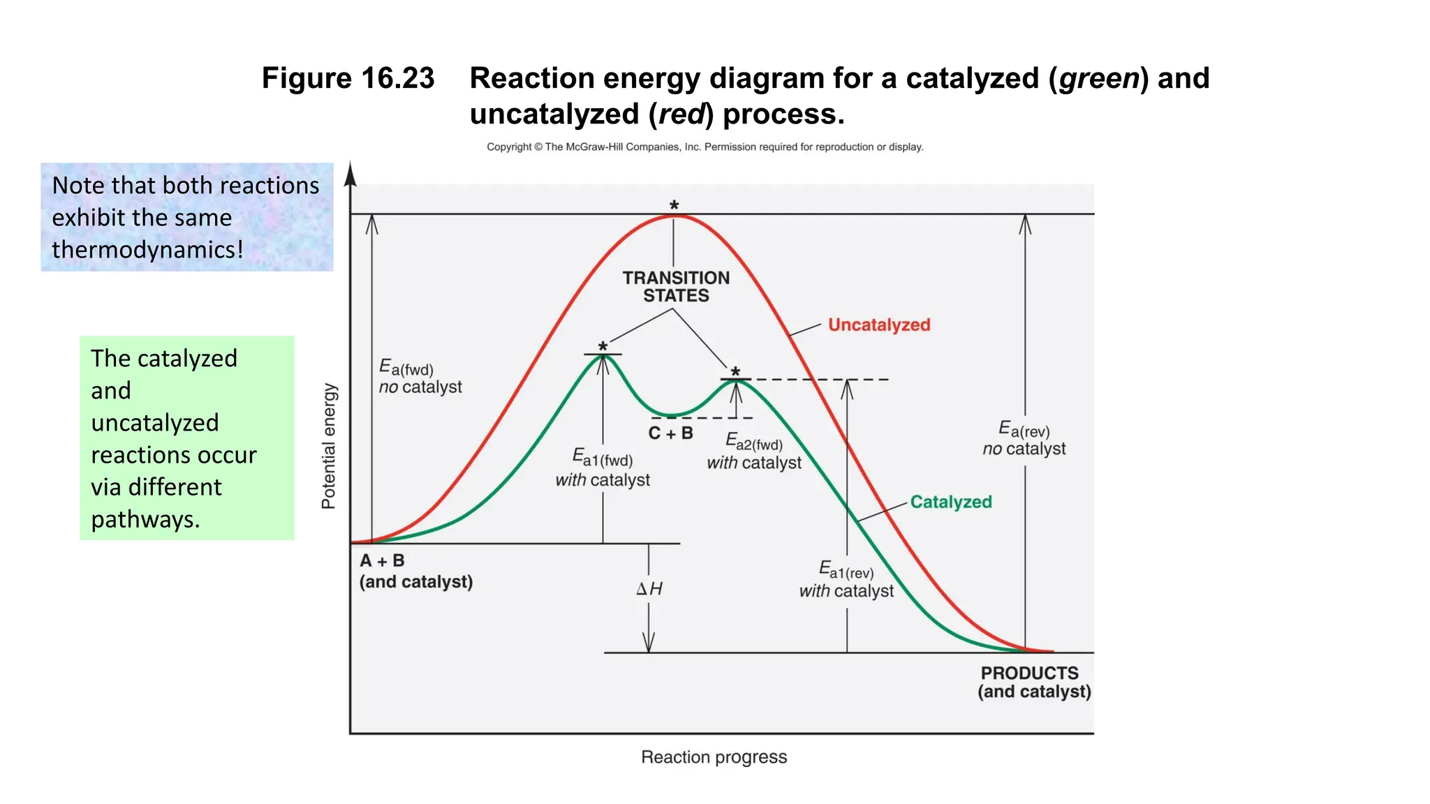 Rate expressions (rate laws) and reaction mechanisms | PDF