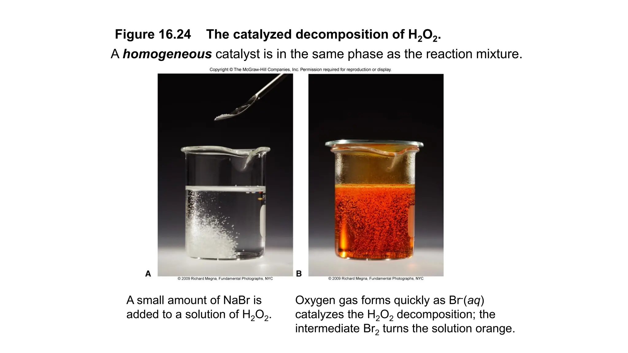 Rate expressions (rate laws) and reaction mechanisms | PDF