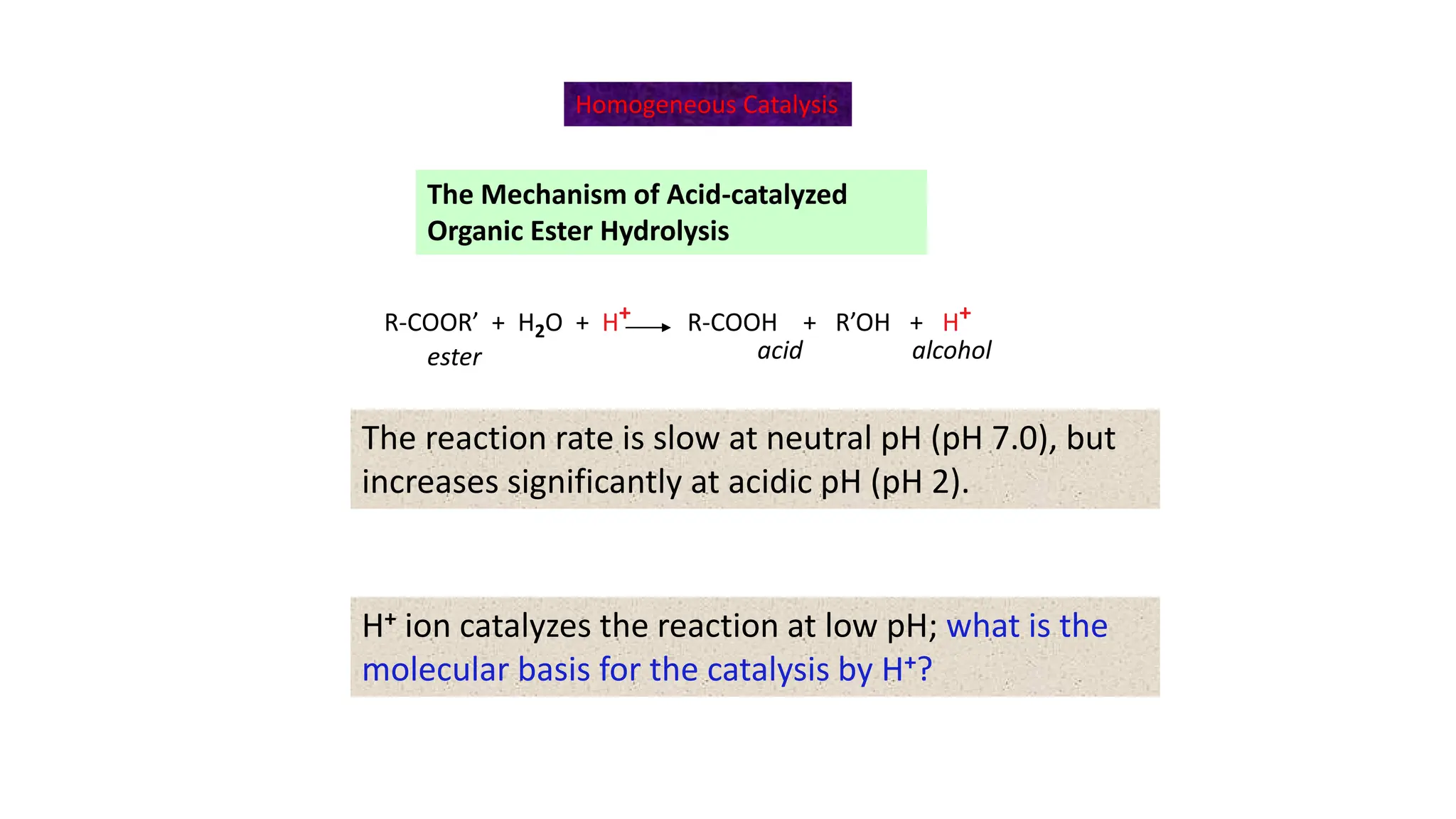 Rate expressions (rate laws) and reaction mechanisms | PDF