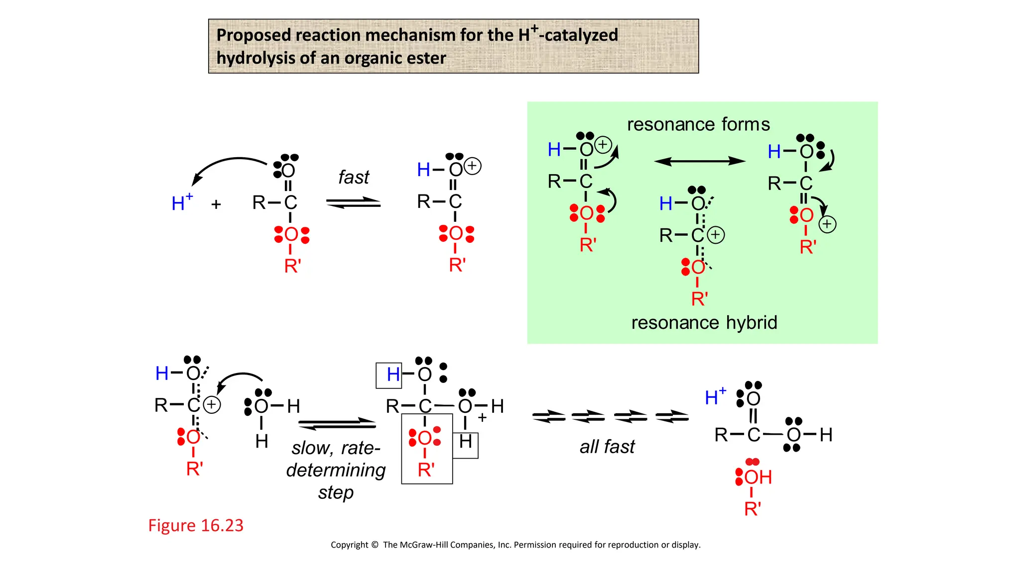 Rate expressions (rate laws) and reaction mechanisms | PDF
