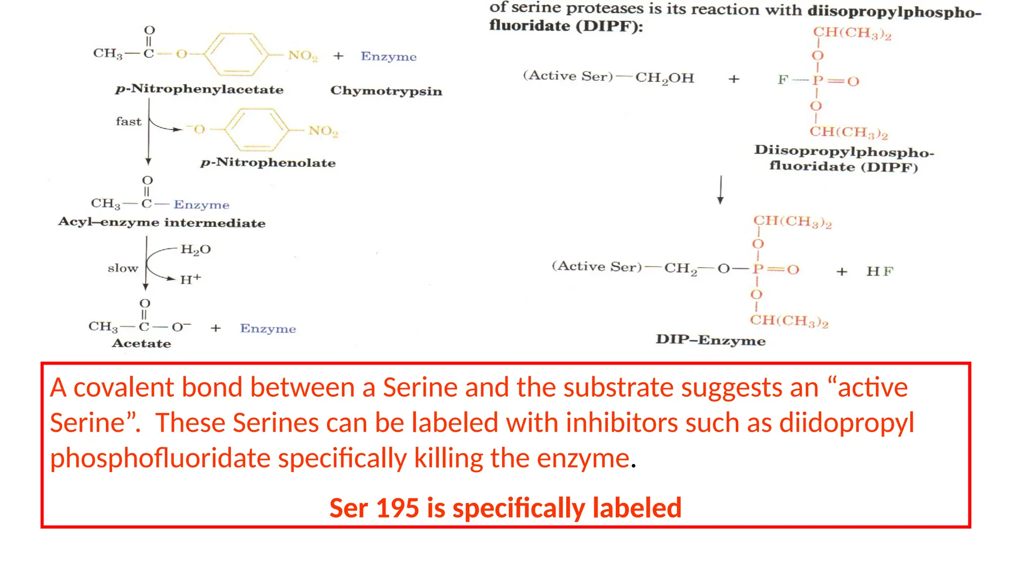 Reaction mechanismmmmmmmmmmmmmmmmmmmmmmmm | PPT
