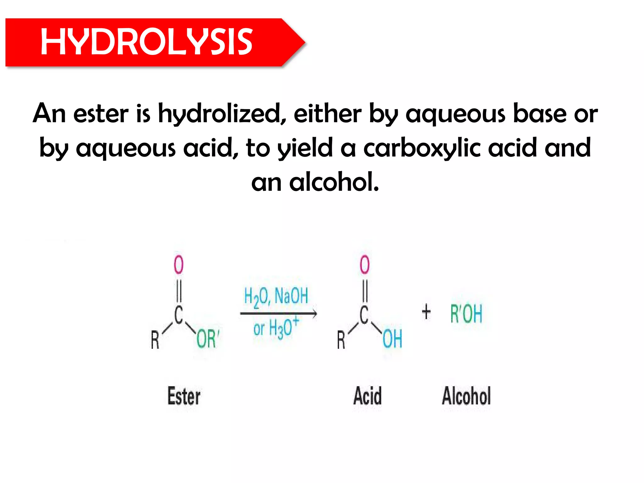 Reaction Mechanisms of Esters | PDF